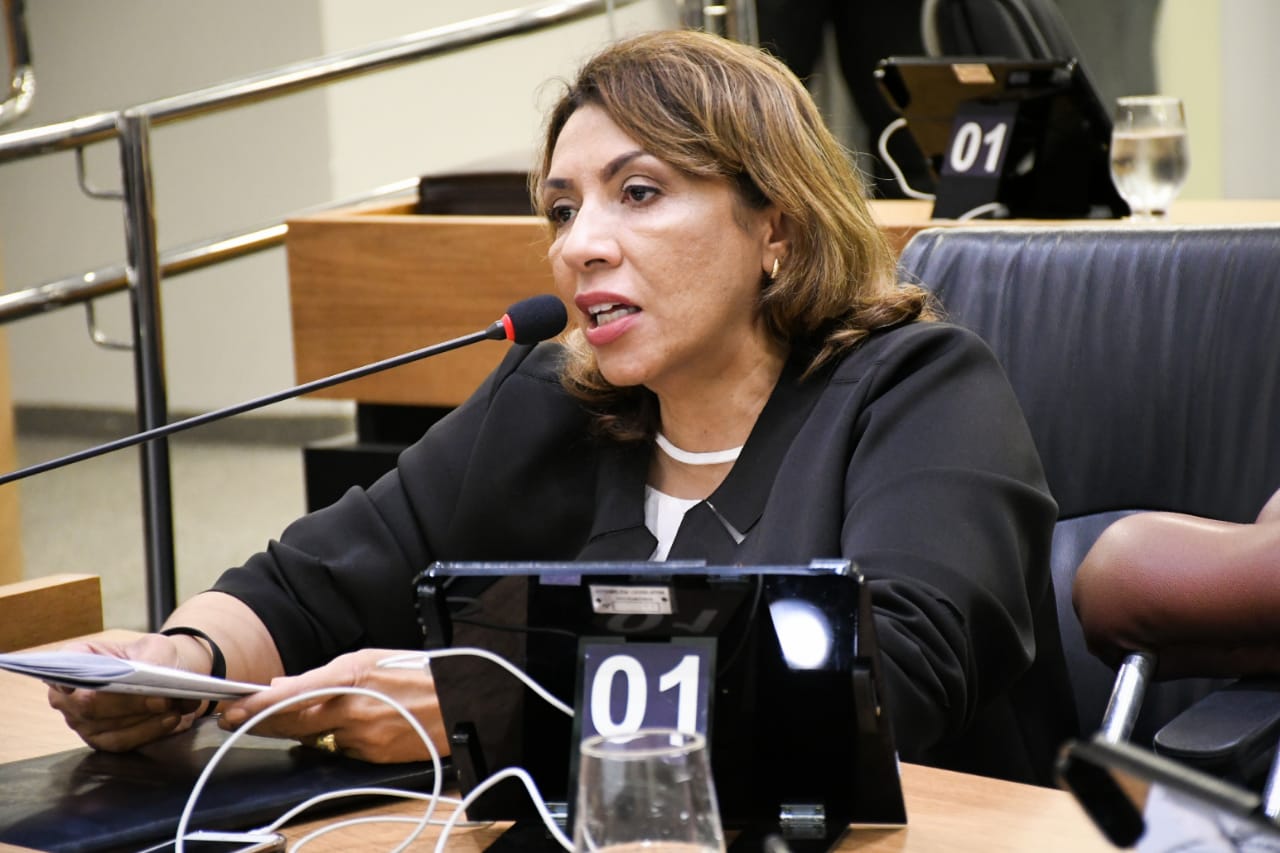 Luta pelos povos indígenas | Cida Ramos